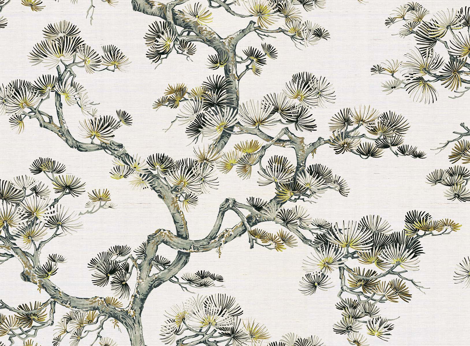 Carl Robinson 19 - CL30800 grasscloth - Today Interiors